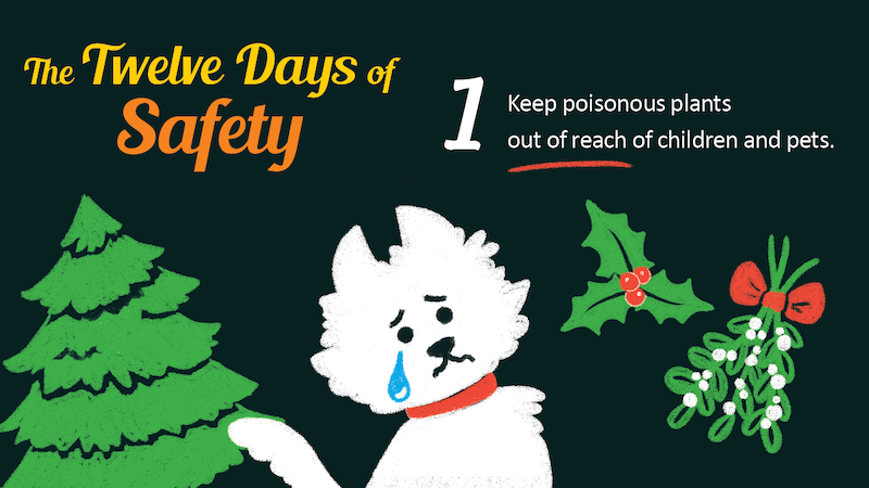 12 Days of Safety – Alex Leon-Khan