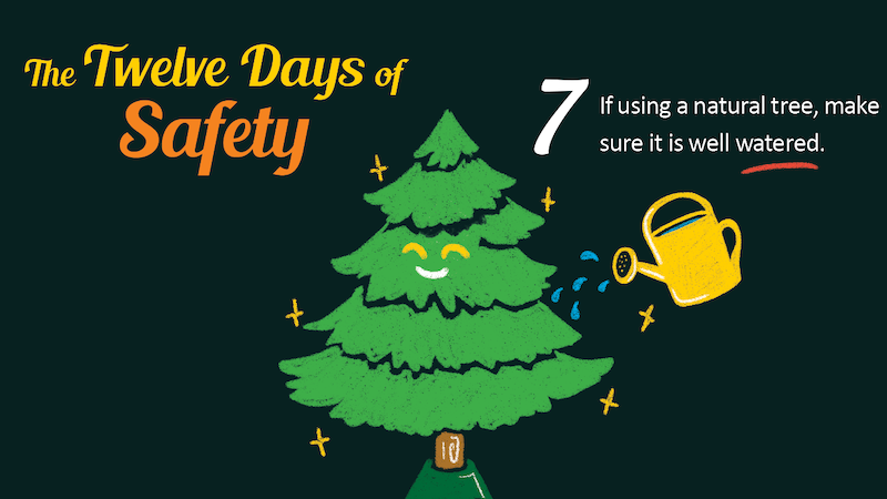 12 Days of Safety – Alex Leon-Khan